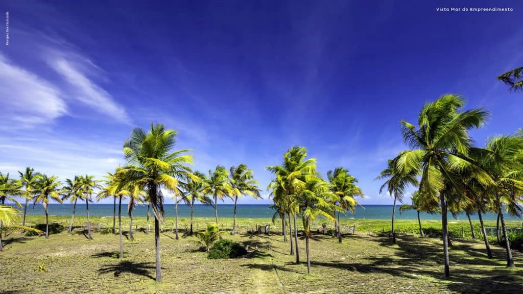 Imóveis de Alto Padrão com 4 Suítes no MERÍ Itacimirim, Bahia